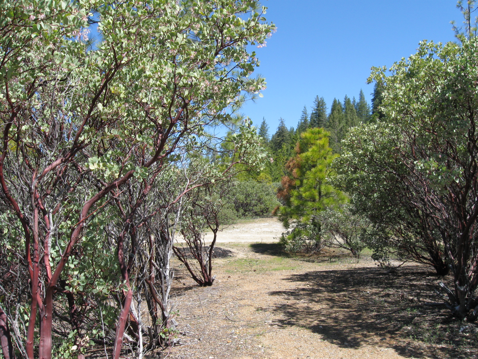 Secret Town California